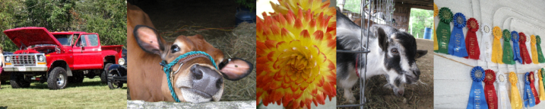 2024 Fair Schedule – The Middlefield Fair